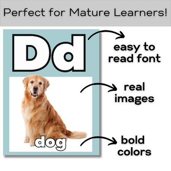 Alphabet With Animals Posters | Newcomer ESL For High School & Adults ...